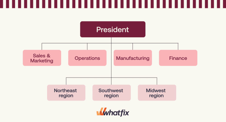 7 Types of Organizational Structures +Examples - Whatfix
