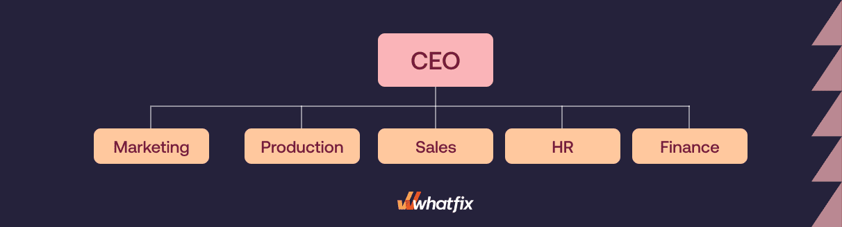 7 Types of Organizational Structures +Examples - Whatfix