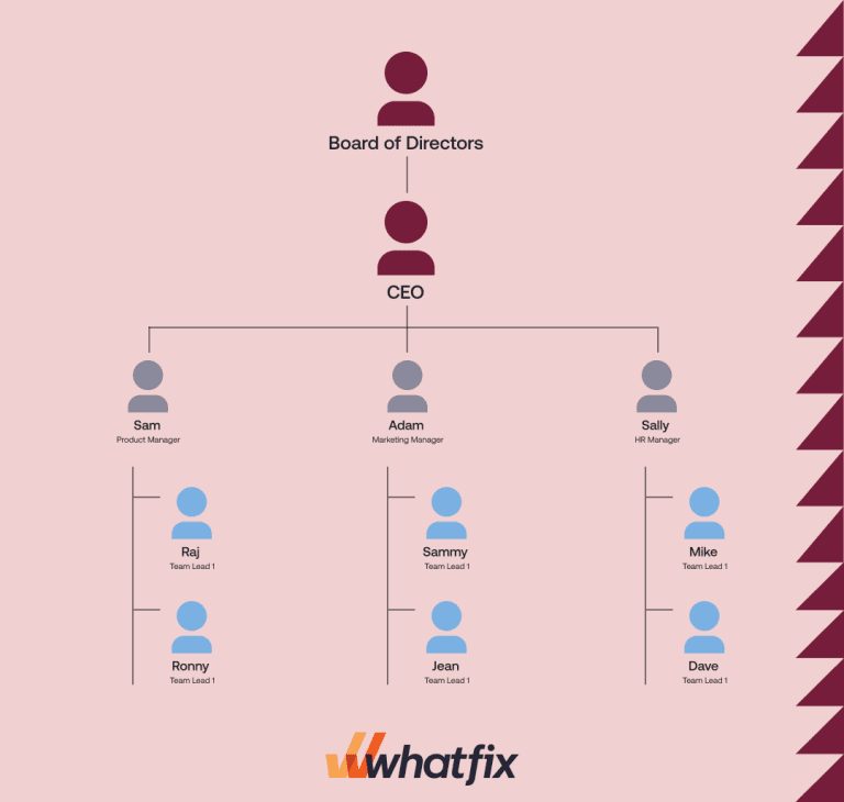 7 Types of Organizational Structures +Examples - Whatfix