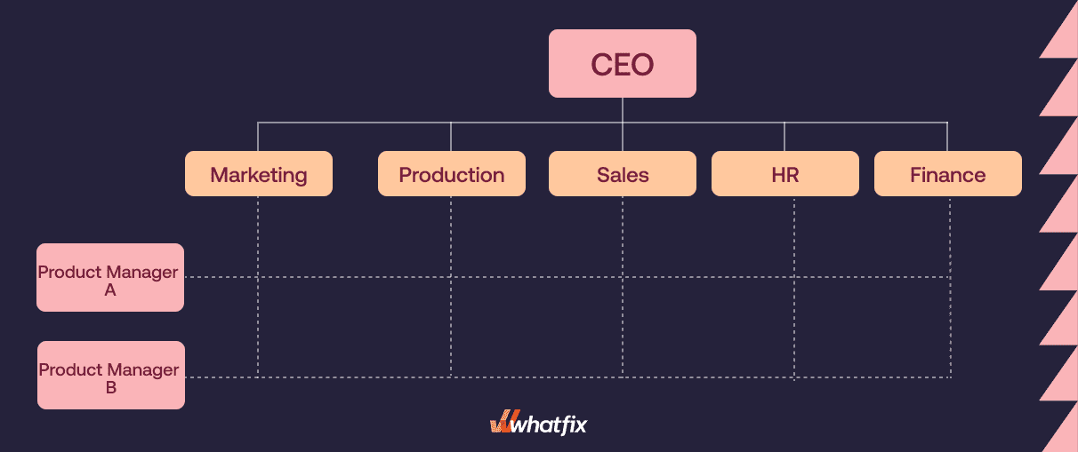 7 Types of Organizational Structures +Examples - Whatfix