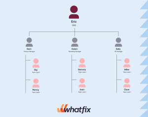 7 Types of Organizational Structures +Examples - Whatfix